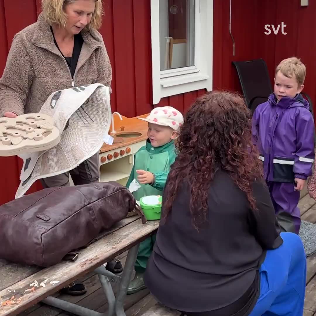 Möt samojedhunden Snow som arbetar på förskolan i Alsen – hon skapar ...